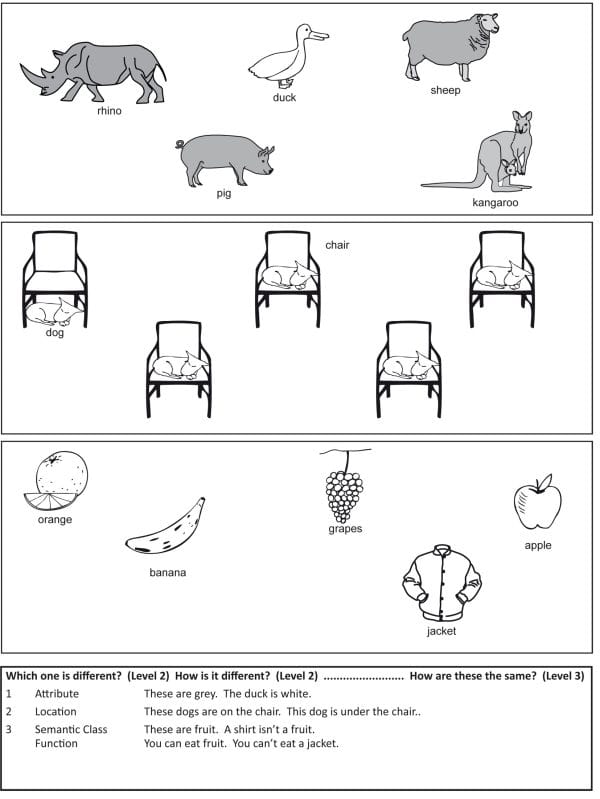 Identifying Similarities and Differences - Wise Words Australia