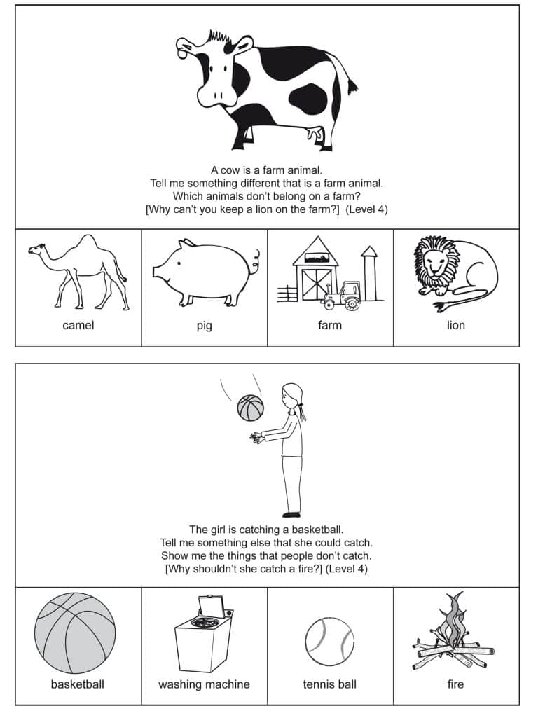 Selecting an Alternative - Wise Words Australia